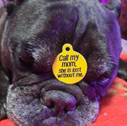 Custom Dog Cat Pet ID Tags, Made In Canada – Canadian Pet Tags